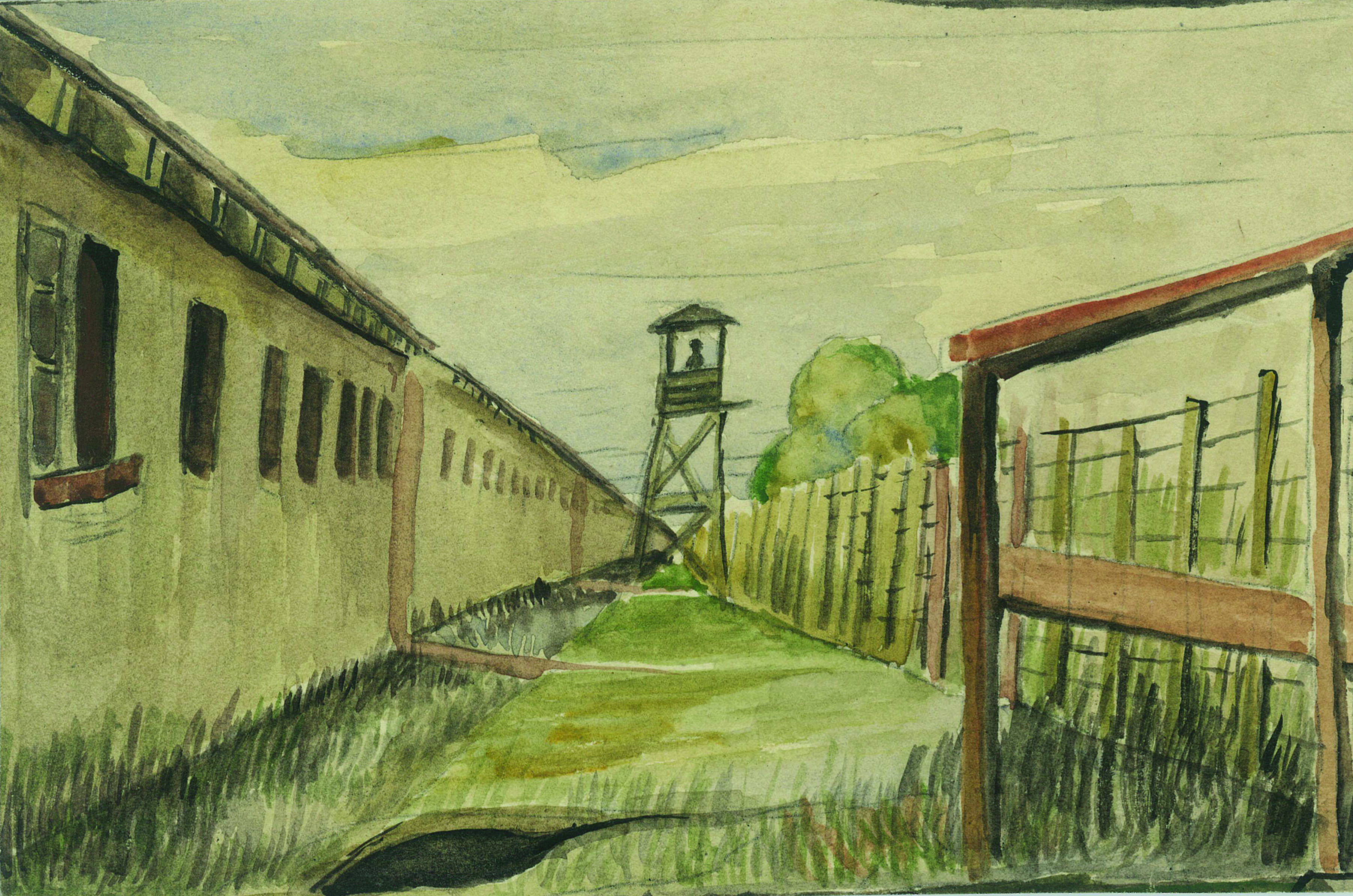 Barbara Johns | University of Washington Press Blog